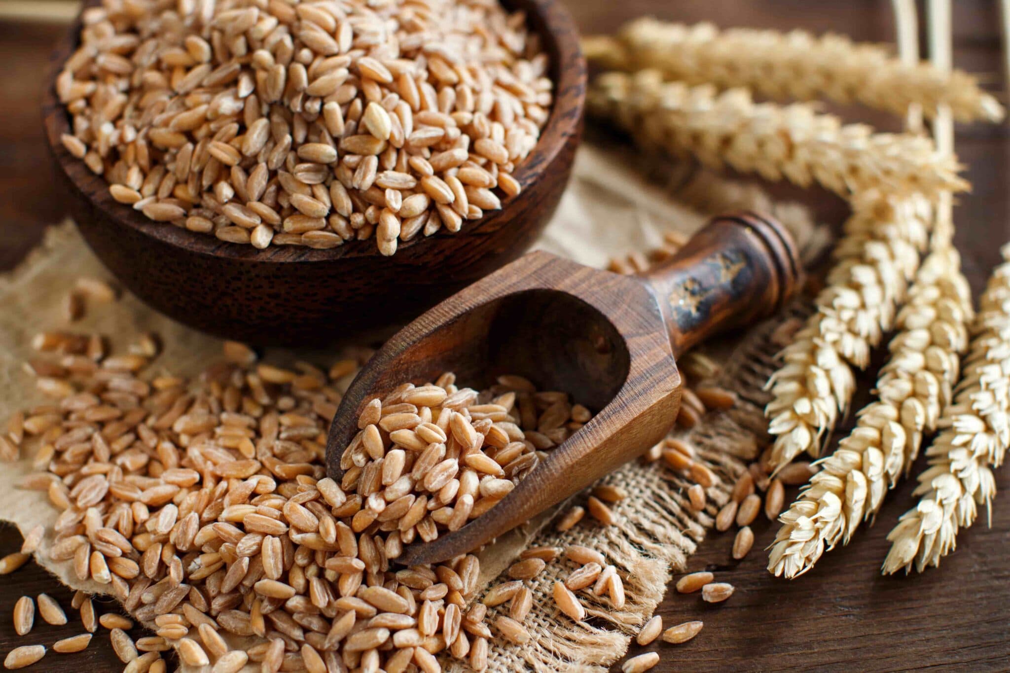 Come cucinare il farro - Fatto in casa da Benedetta