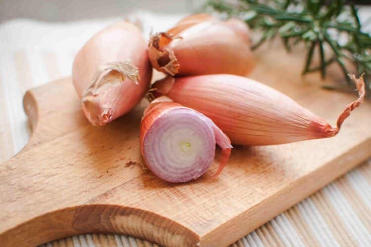 Scalogno: cos’è e come utilizzarlo - Fatto in casa da Benedetta
