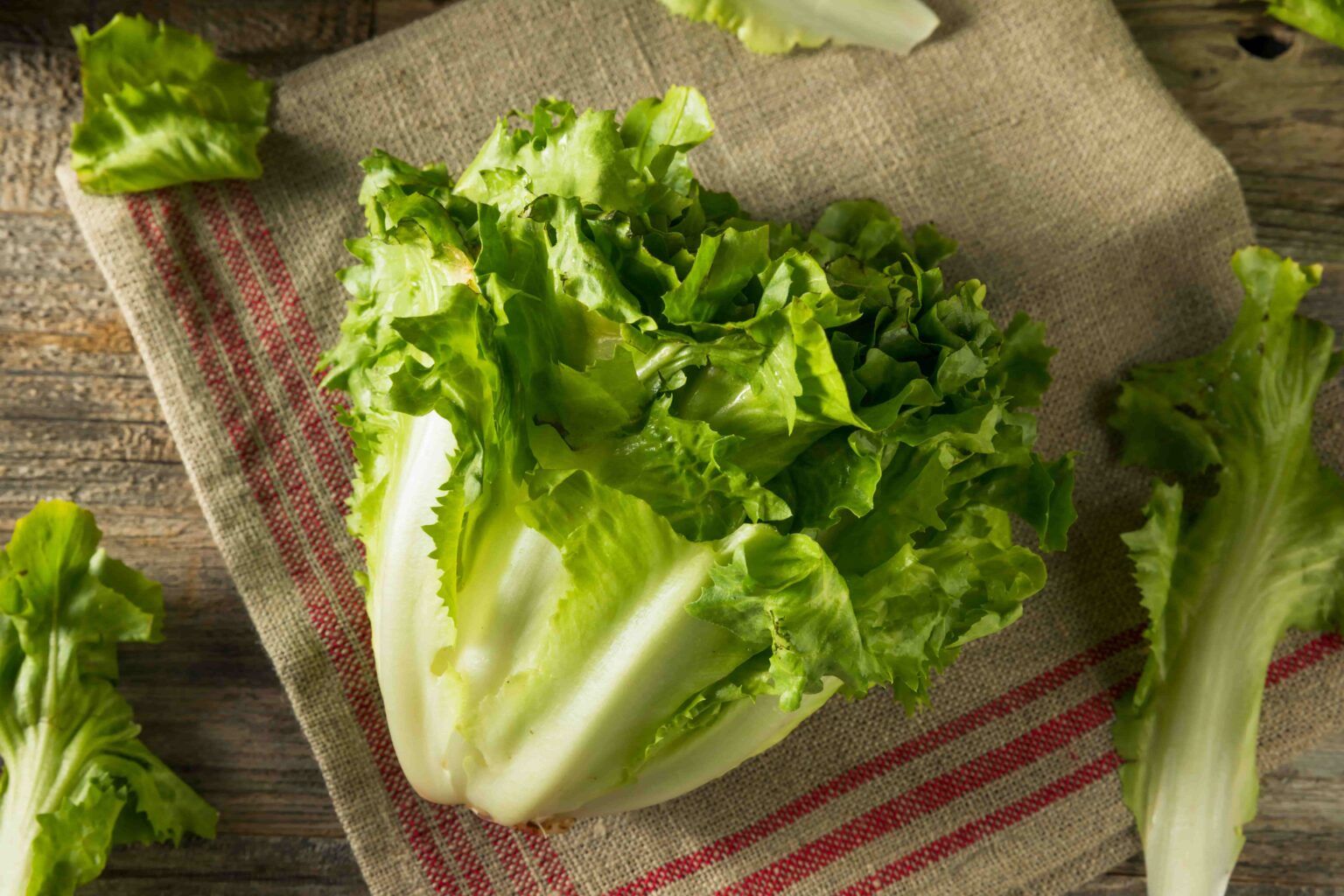 Indivia: le varietà più diffuse e ricette sfiziose - Fatto in casa da ...