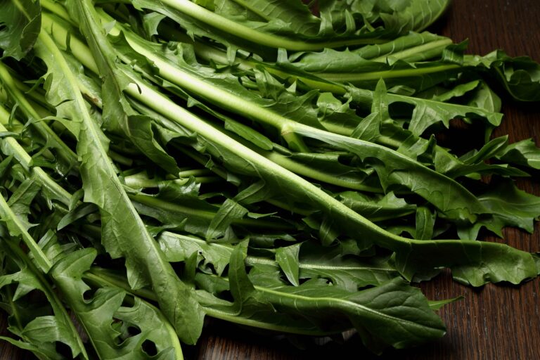 Catalogna: varietà e usi in cucina - Fatto in casa da Benedetta