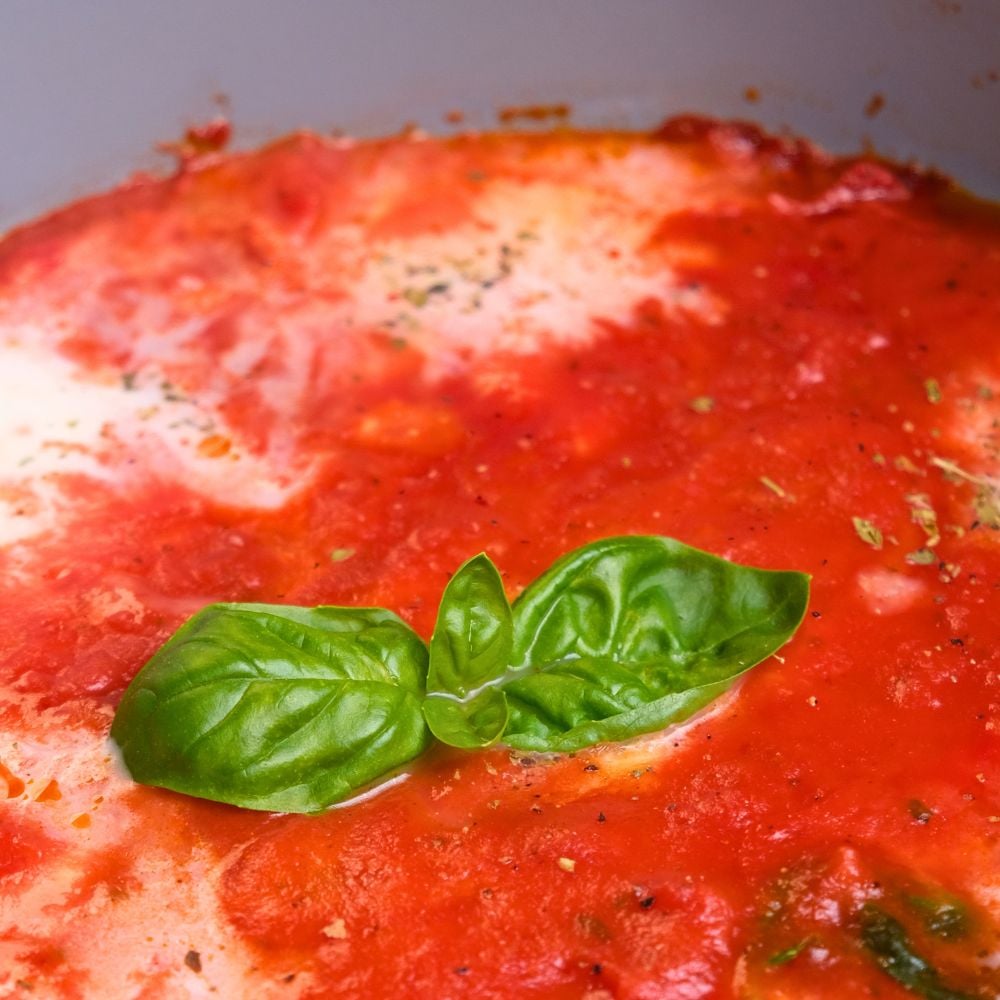 Mozzarella alla pizzaiola - Ricetta Fatto in casa da Benedetta