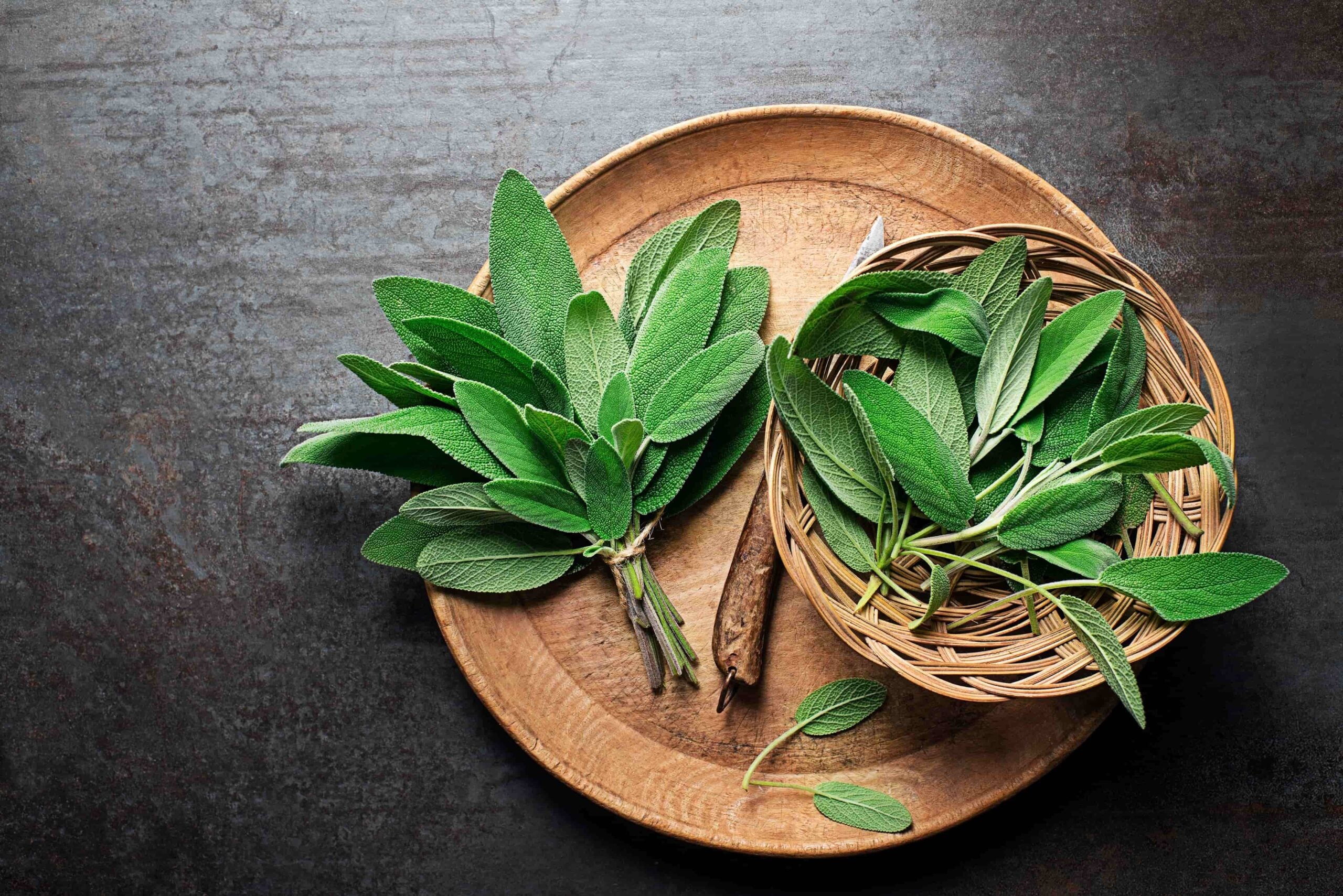 Come conservare la salvia - Fatto in casa da Benedetta