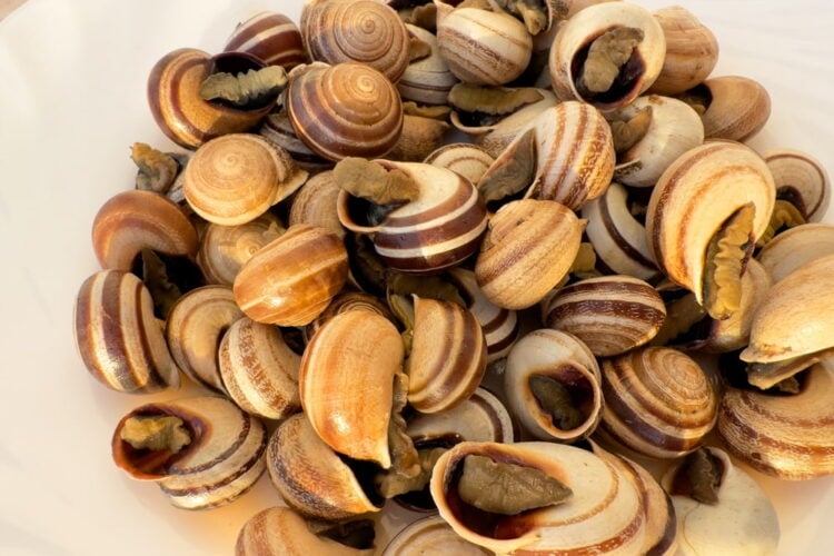 Come cucinare le lumache - Fatto in casa da Benedetta