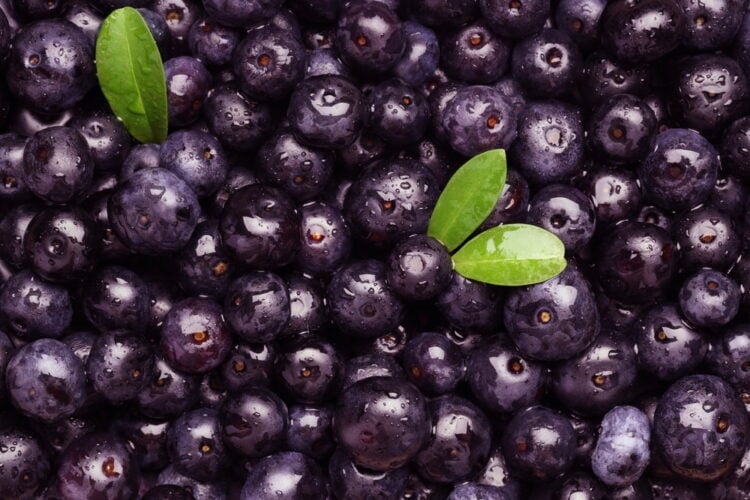 Acai bowl: cos’è e come si fa - Fatto in casa da Benedetta