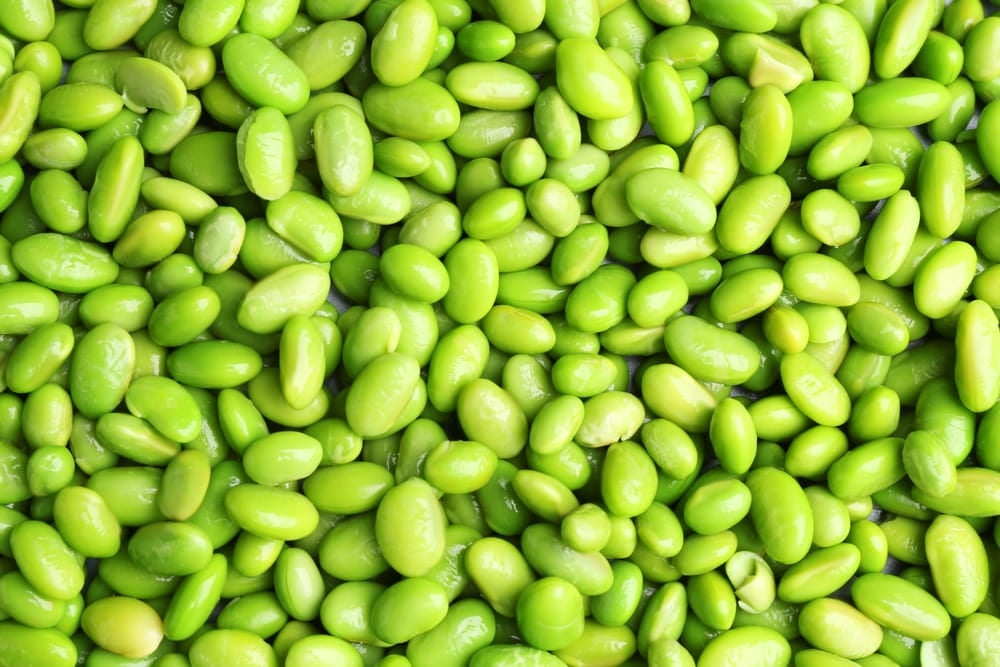 Edamame: le loro proprietà e come usarli in cucina - Fatto in casa da ...
