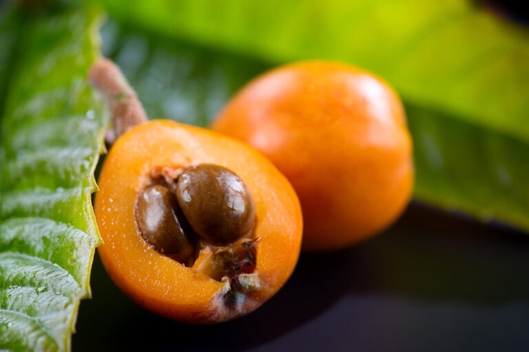 Nespole: un frutto prezioso - Fatto in casa da Benedetta