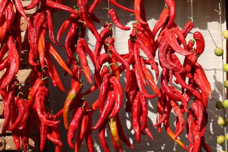 Peperone crusco: una specialità della tradizione lucana - Fatto in casa ...