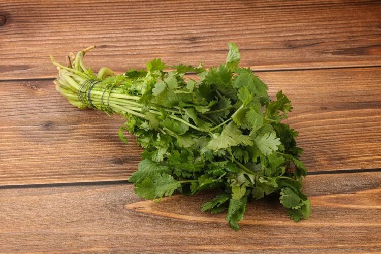 Coriandolo, l’erba aromatica che si ama o si odia - Fatto in casa da ...