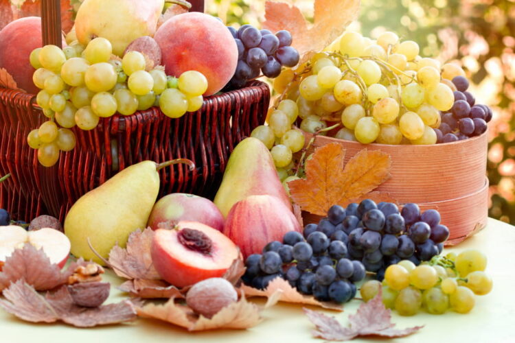 Frutta e verdura autunnale: piccola guida utile - Fatto in casa da ...