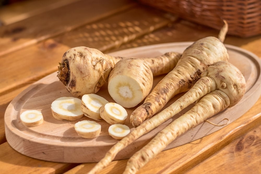 Pastinaca: come cucinarla e conservarla al meglio - Fatto in casa da ...