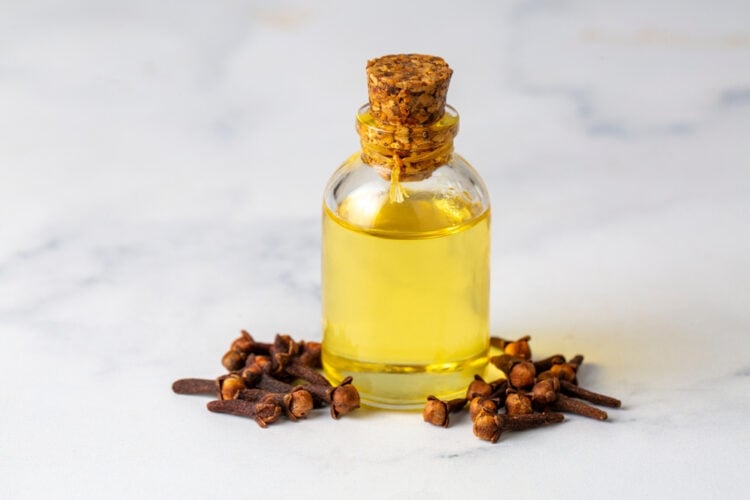 Chiodi di garofano: curiosità e come utilizzarli nelle ricette - Fatto ...