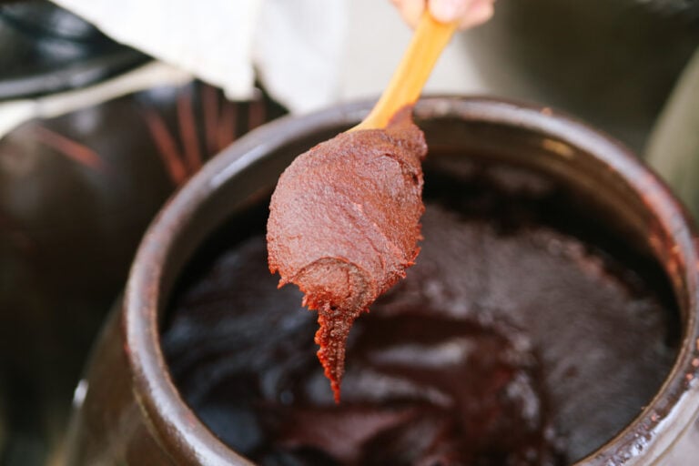 Gochujang: la salsa coreana che conquista tutti - Fatto in casa da ...